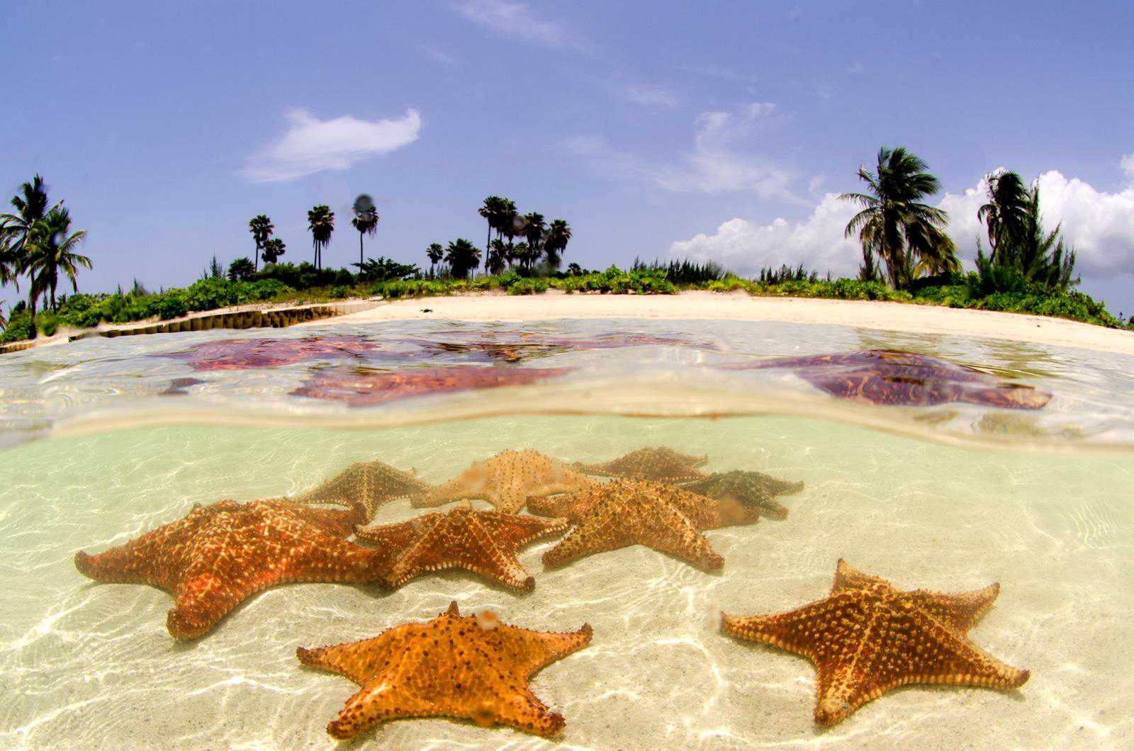 Top 5 Things To Do in the Cayman Islands During Your Charter Vacation